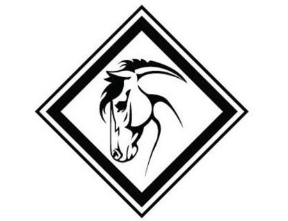 Silver Eagle Stable's Executive Retreat & Event Center